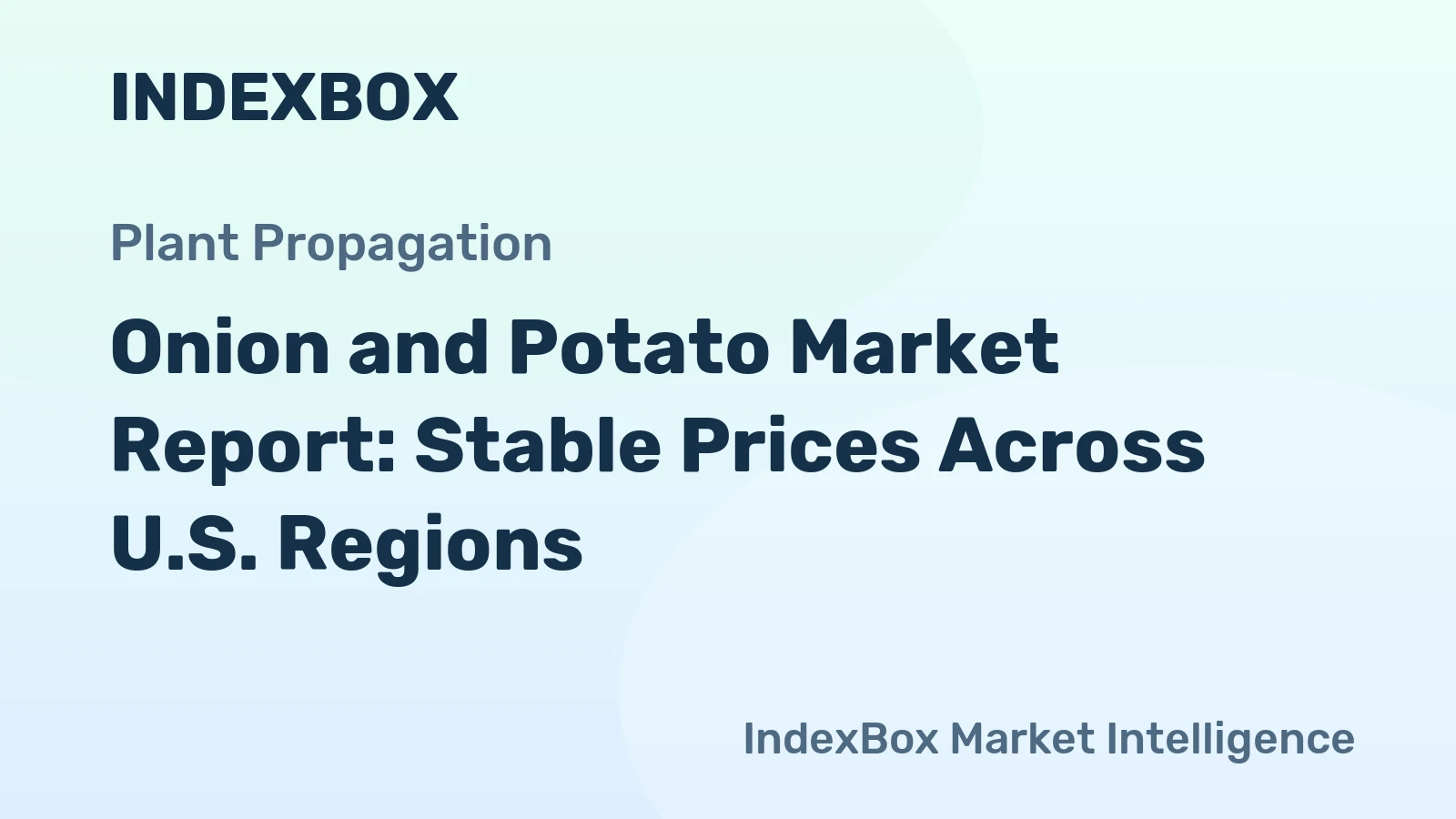 Onion and Potato Market Report: Stable Prices Across U.S. Regions