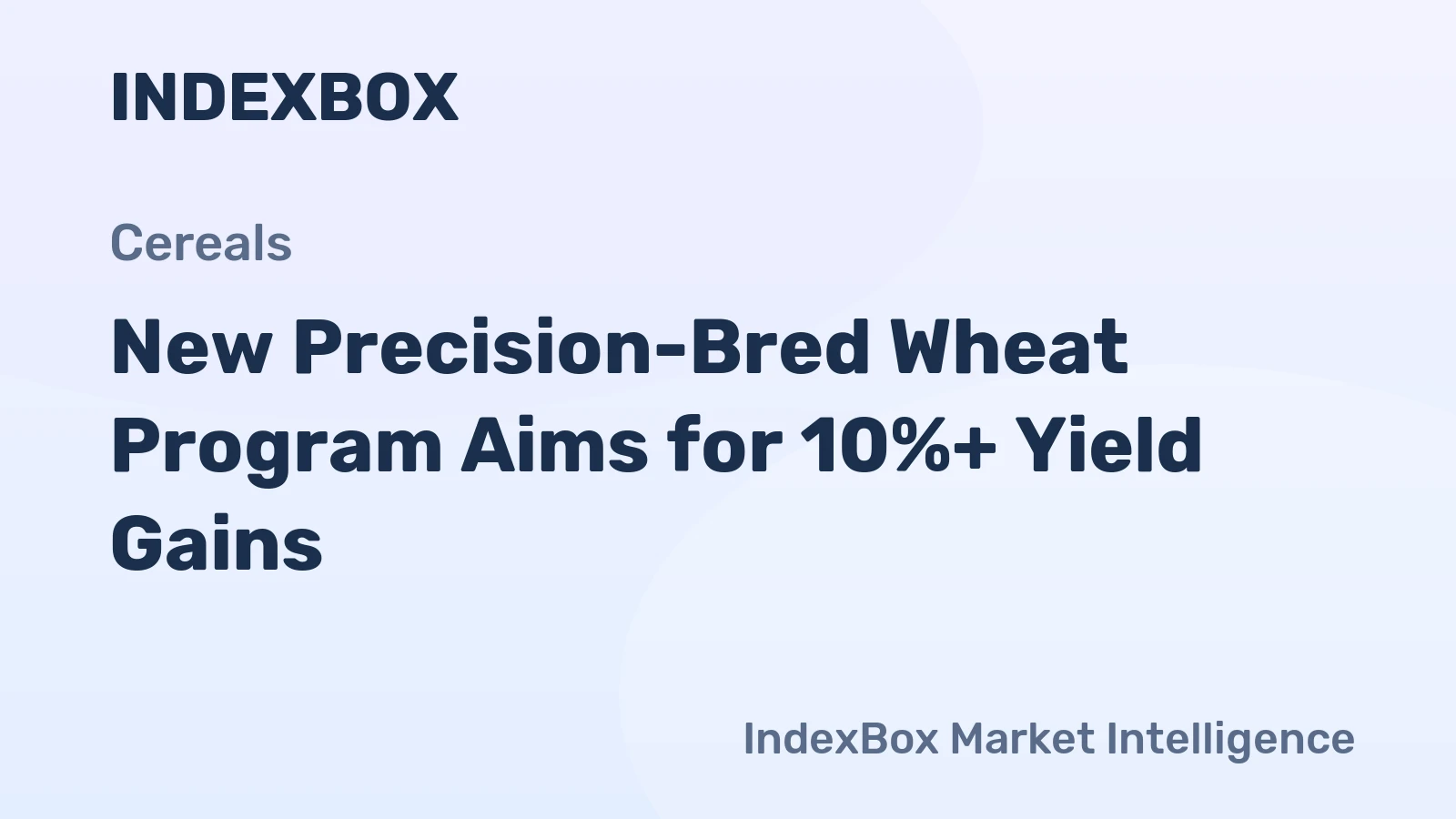 New Precision-Bred Wheat Program Aims for 10%+ Yield Gains