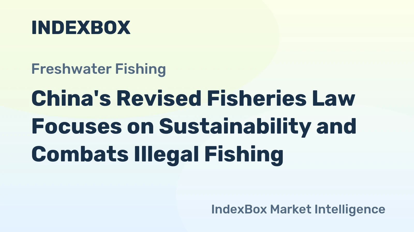 China's Revised Fisheries Law Focuses on Sustainability and Combats Illegal Fishing