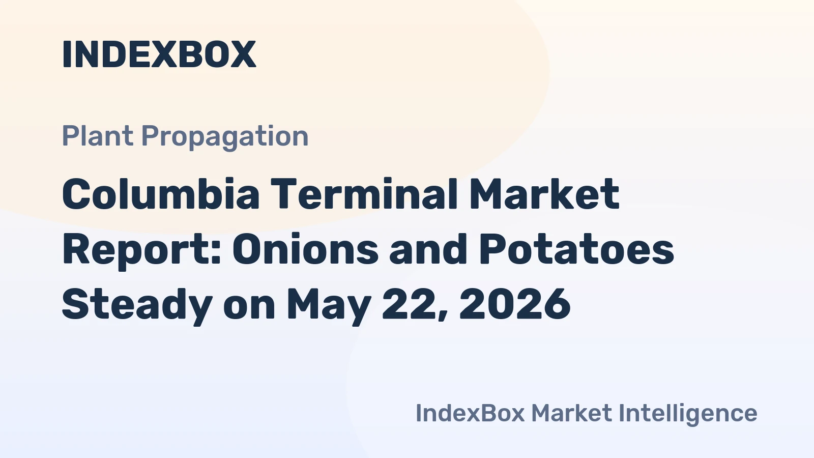 Columbia Terminal Market Report: Onions and Potatoes Steady on May 22, 2026
