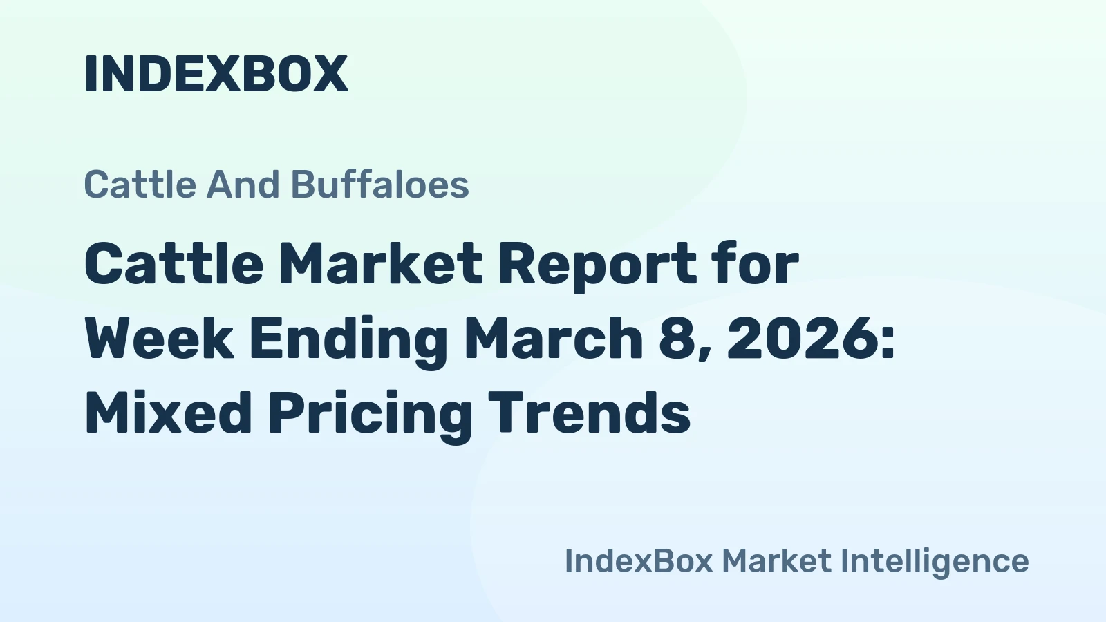 Cattle Market Report for Week Ending March 8, 2026: Mixed Pricing Trends