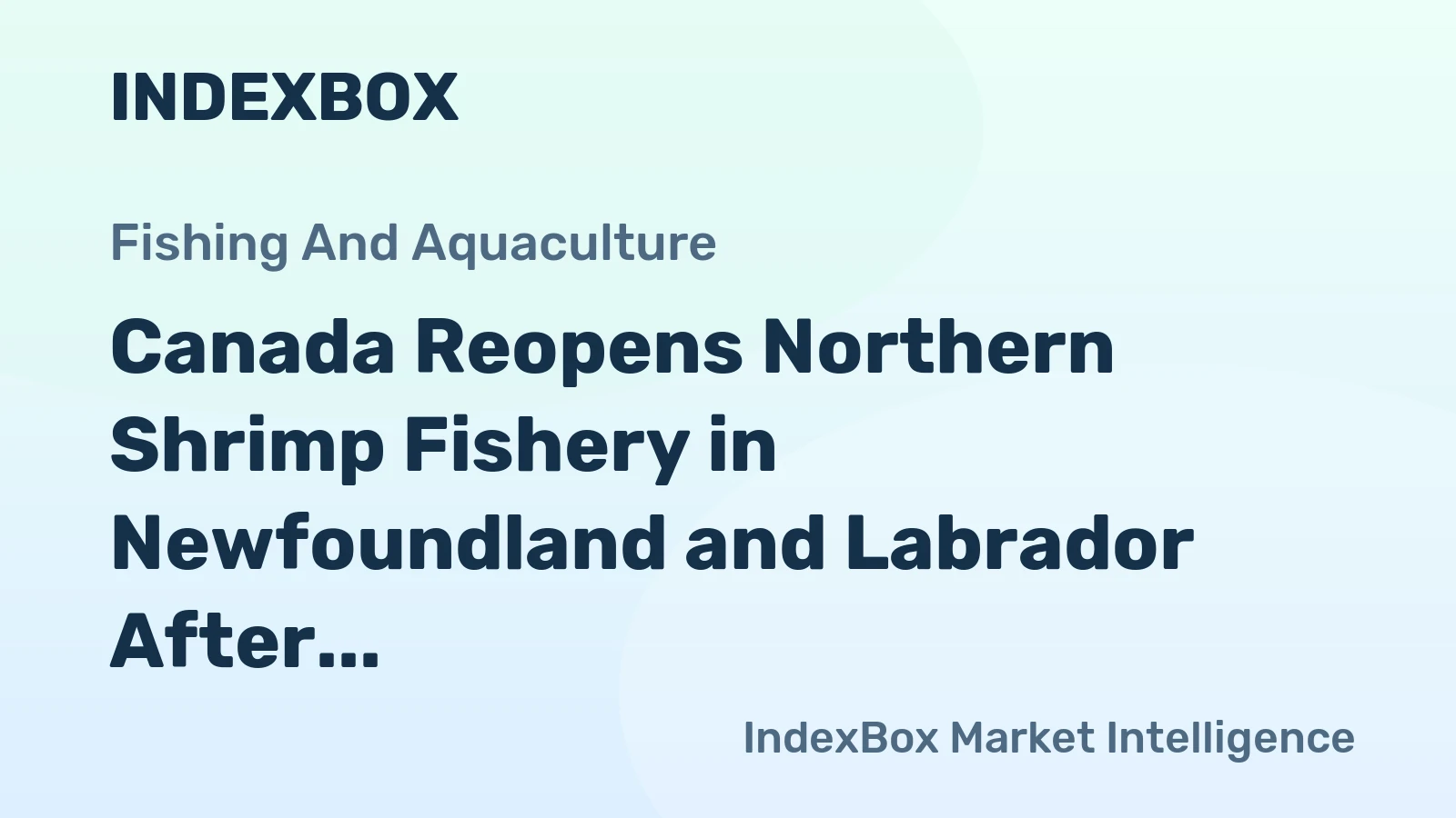 Canada Reopens Northern Shrimp Fishery in Newfoundland and Labrador After 11-Year Closure