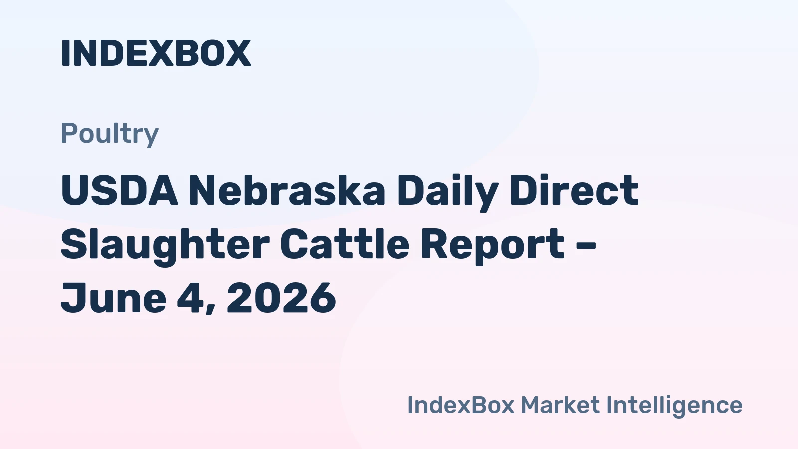 USDA Nebraska Daily Direct Slaughter Cattle Report – June 4, 2026