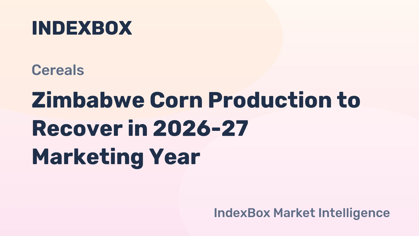 Zimbabwe Corn Production to Recover in 2026-27 Marketing Year