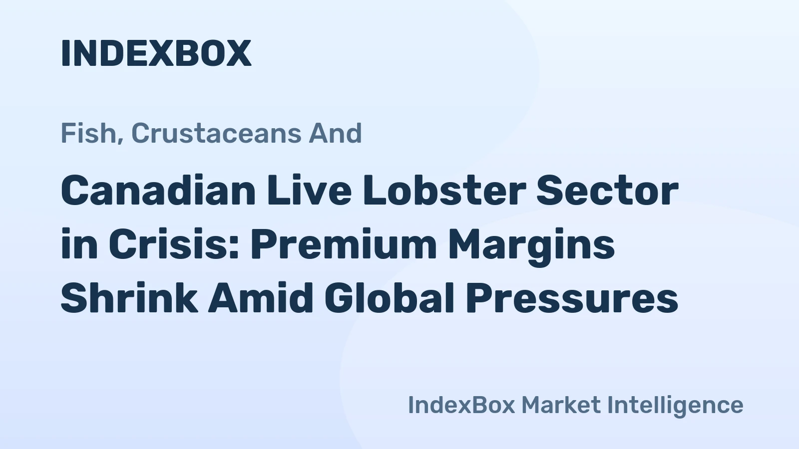 Canadian Live Lobster Sector in Crisis: Premium Margins Shrink Amid Global Pressures