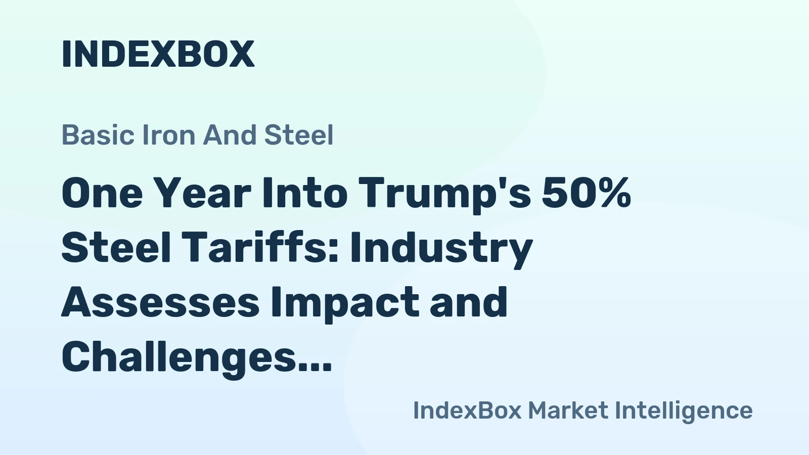 One Year Into Trump's 50% Steel Tariffs: Industry Assesses Impact and Challenges