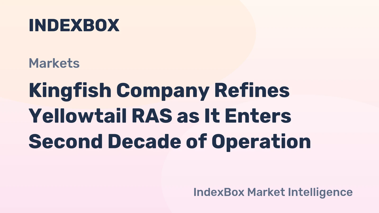 Kingfish Company Refines Yellowtail RAS as It Enters Second Decade of Operation