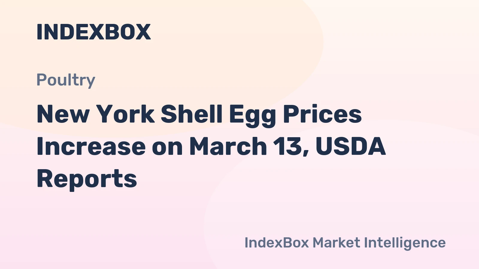 New York Shell Egg Prices Increase on March 13, USDA Reports