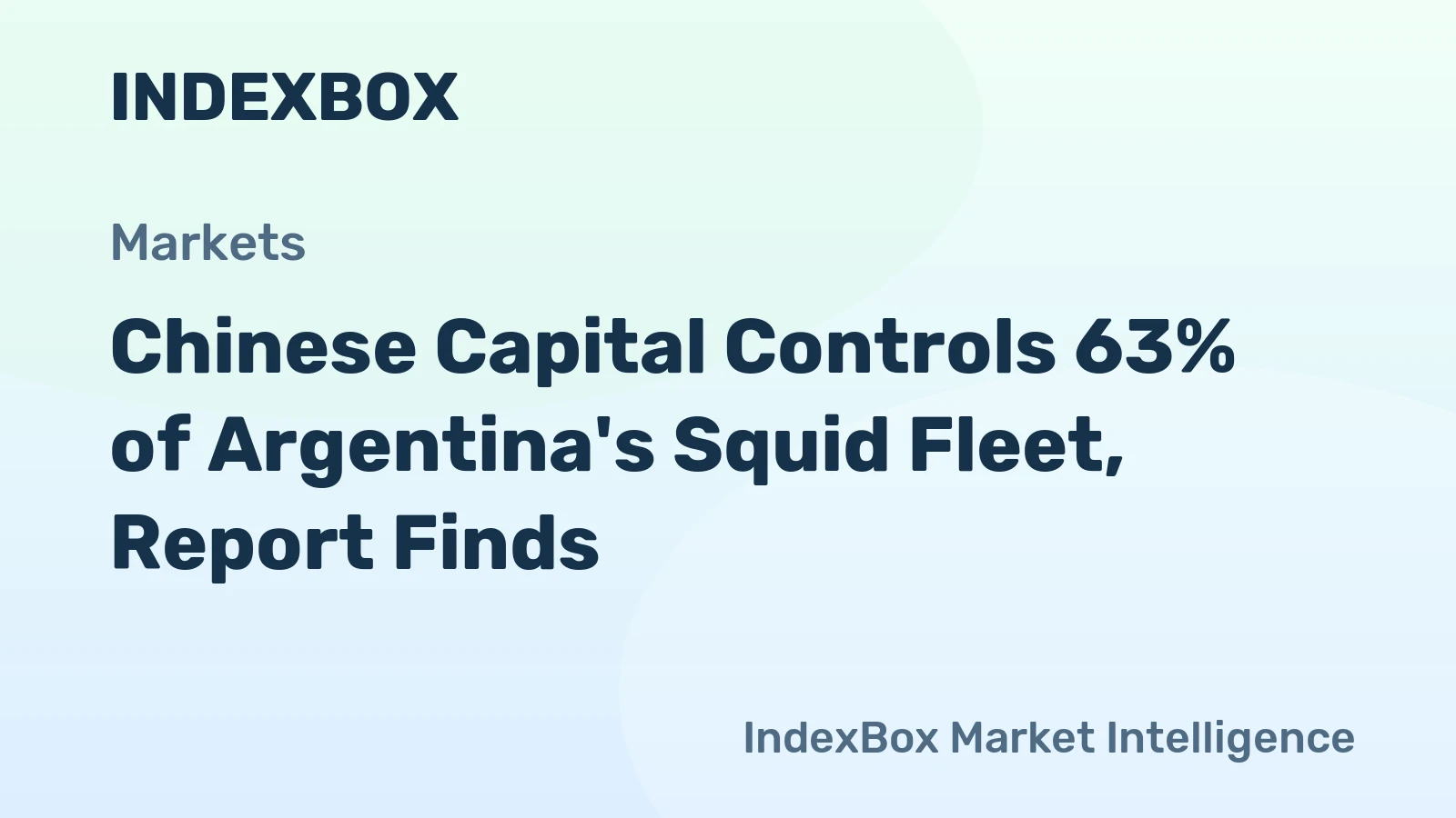 Chinese Capital Controls 63% of Argentina's Squid Fleet, Report Finds