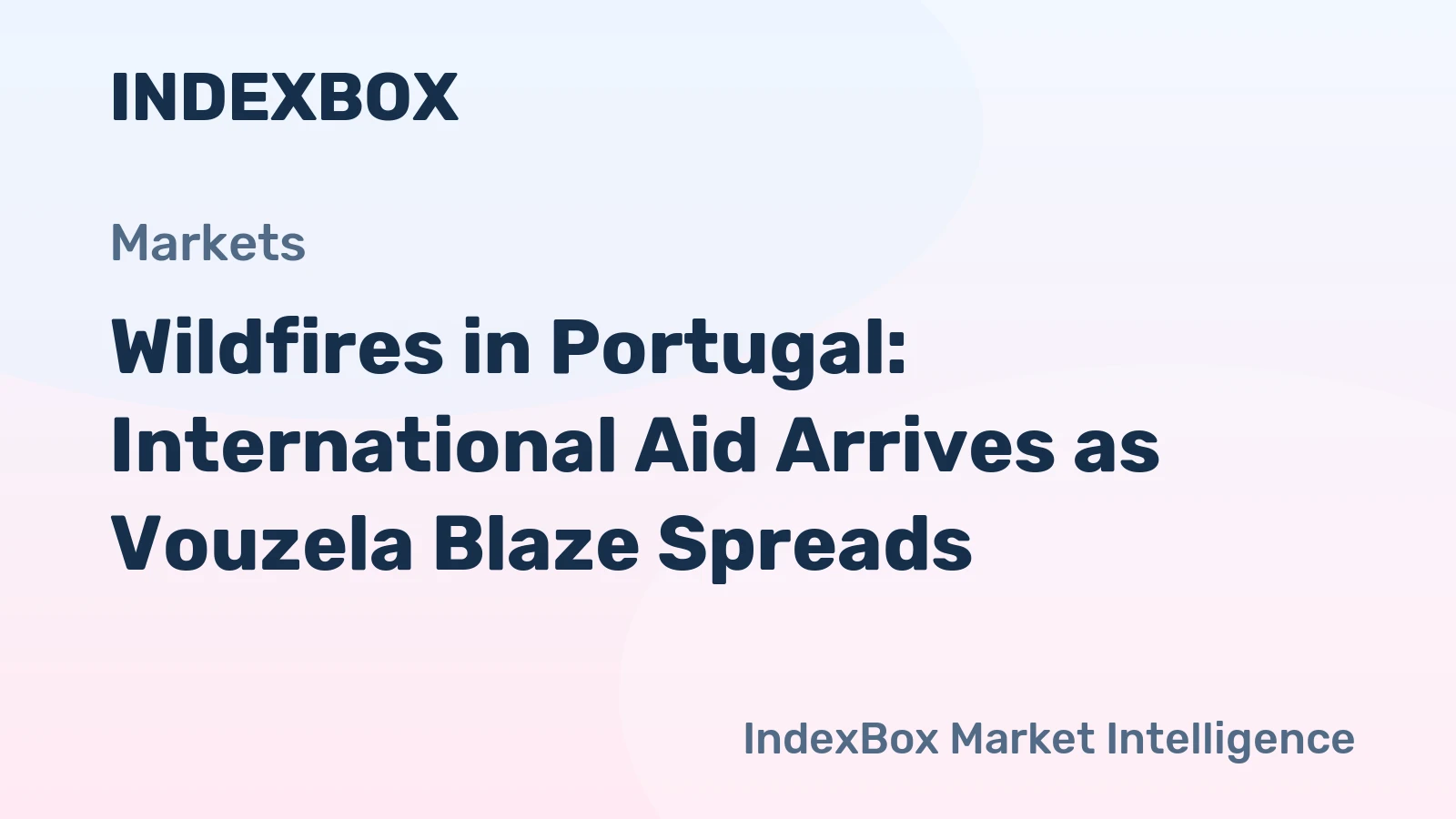 Wildfires in Portugal: International Aid Arrives as Vouzela Blaze Spreads