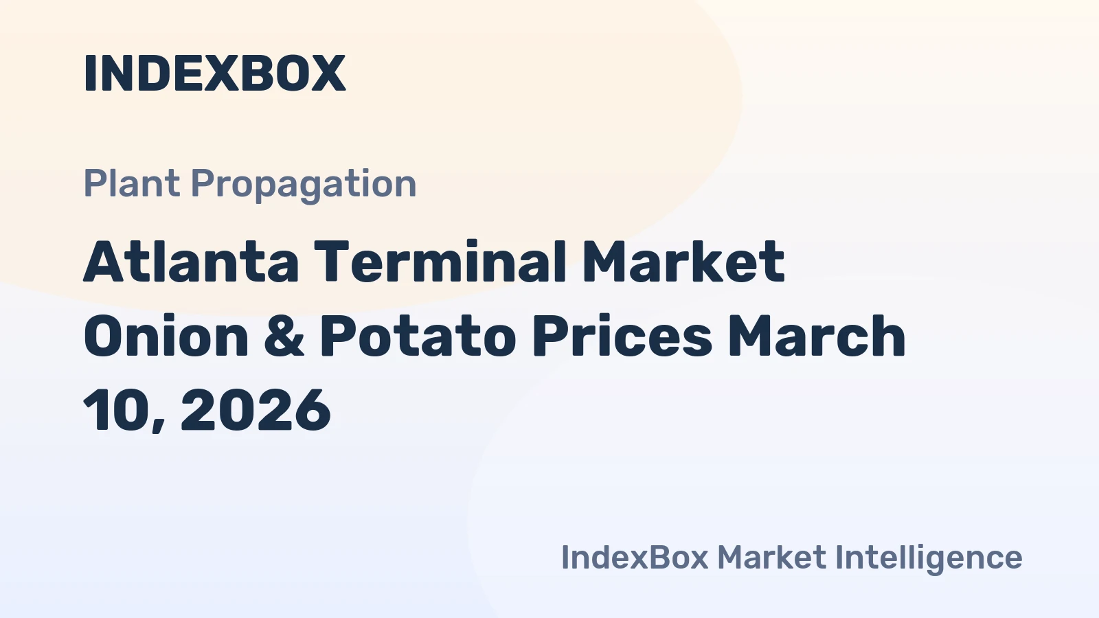 Atlanta Terminal Market Onion & Potato Prices March 10, 2026