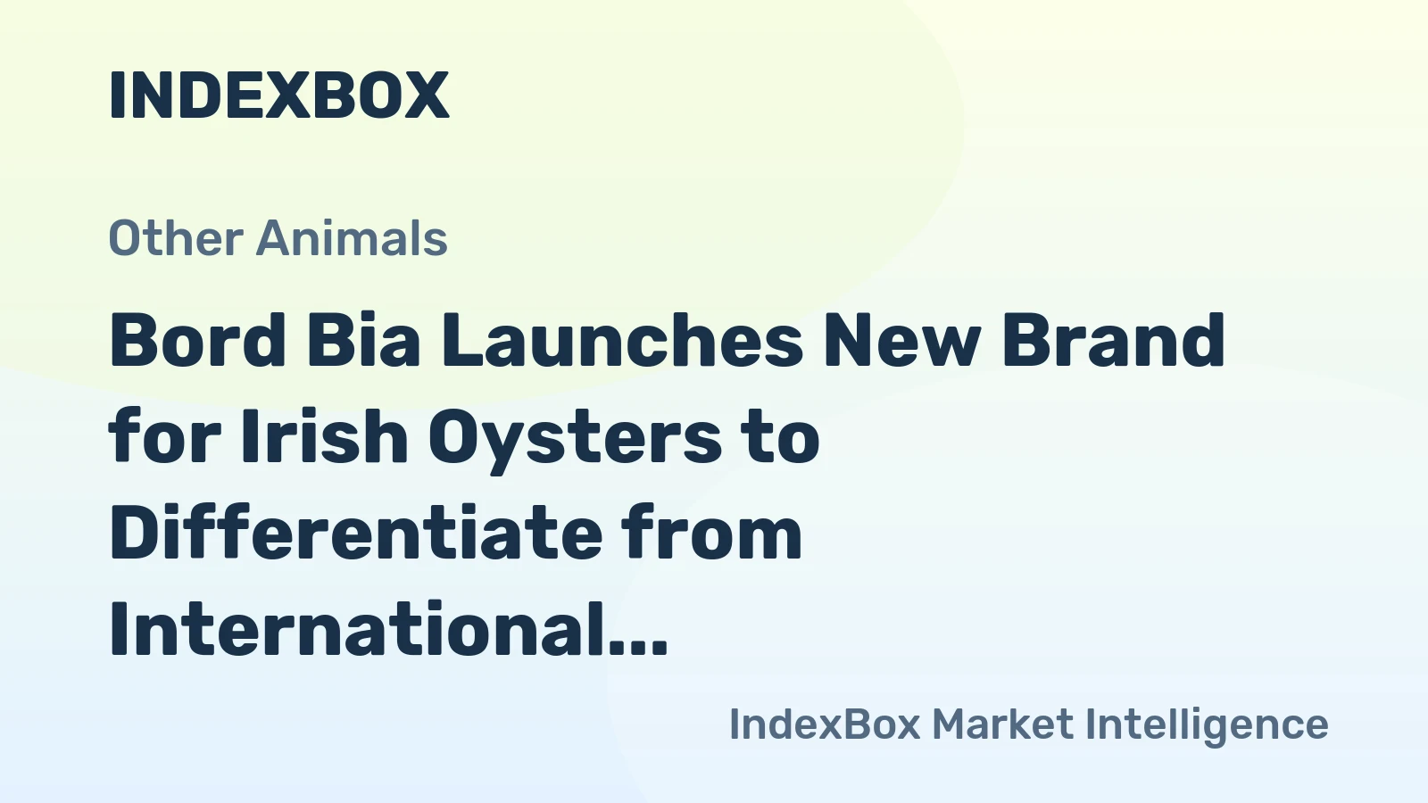 Bord Bia Launches New Brand for Irish Oysters to Differentiate from International Competitors