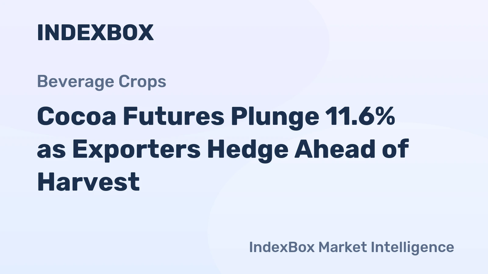 Cocoa Futures Plunge 11.6% as Exporters Hedge Ahead of Harvest