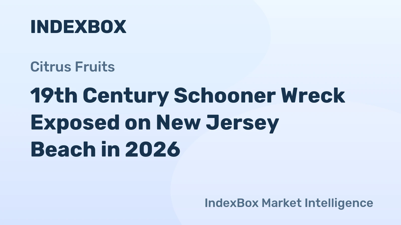 19th Century Schooner Wreck Exposed on New Jersey Beach in 2026