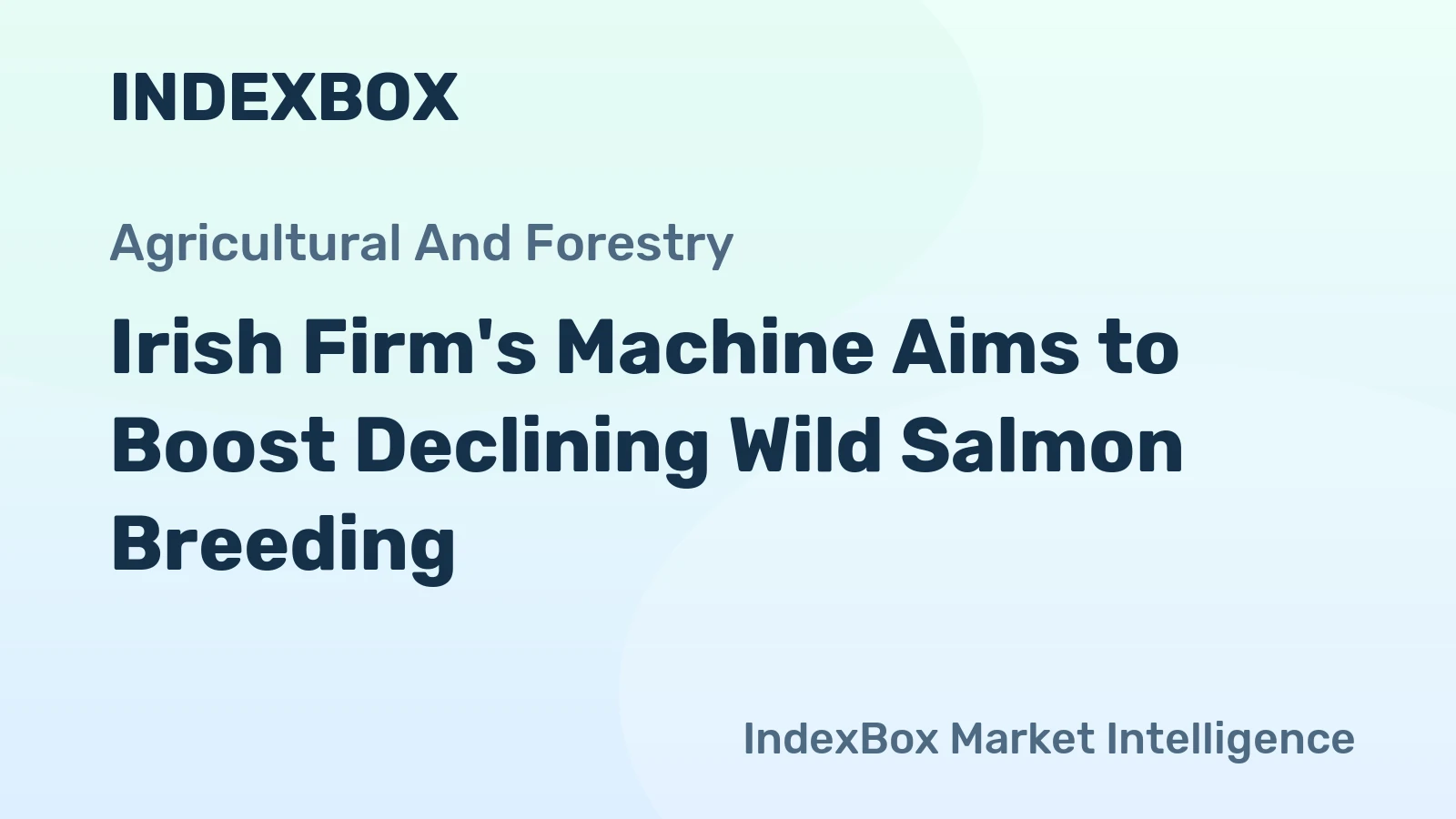 Irish Firm's Machine Aims to Boost Declining Wild Salmon Breeding
