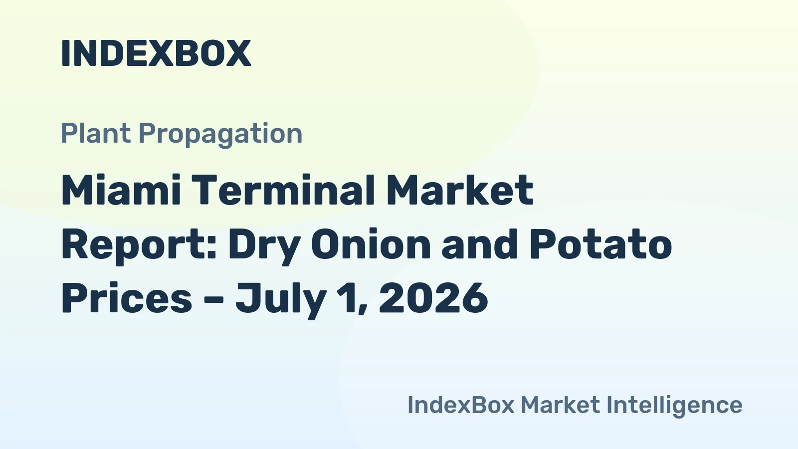 Miami Terminal Market Report: Dry Onion and Potato Prices – July 1, 2026
