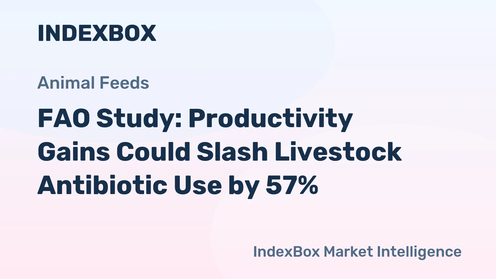 FAO Study: Productivity Gains Could Slash Livestock Antibiotic Use by 57%
