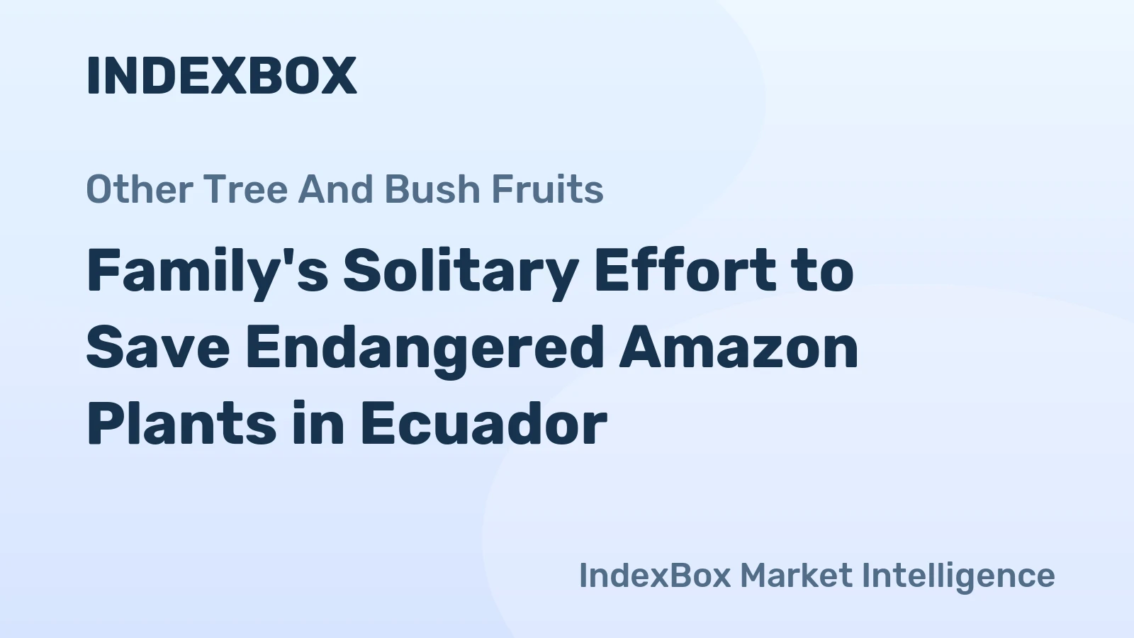 Family's Solitary Effort to Save Endangered Amazon Plants in Ecuador