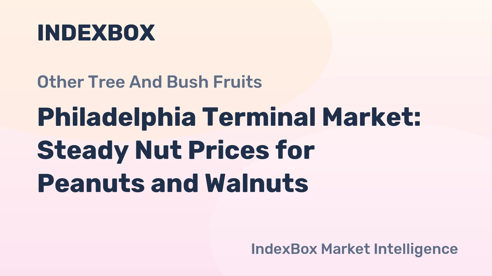Philadelphia Terminal Market: Steady Nut Prices for Peanuts and Walnuts