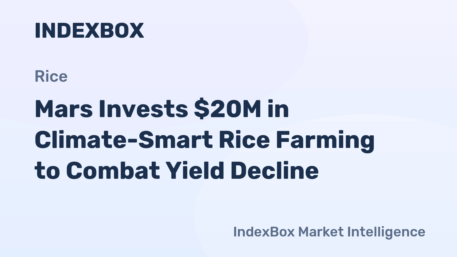 Mars Invests $20M in Climate-Smart Rice Farming to Combat Yield Decline