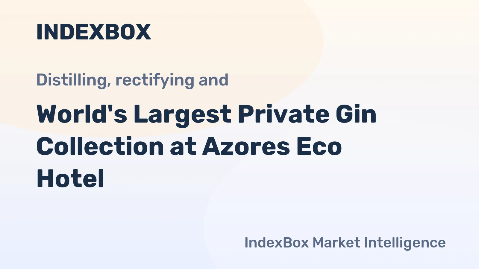 World's Largest Private Gin Collection at Azores Eco Hotel
