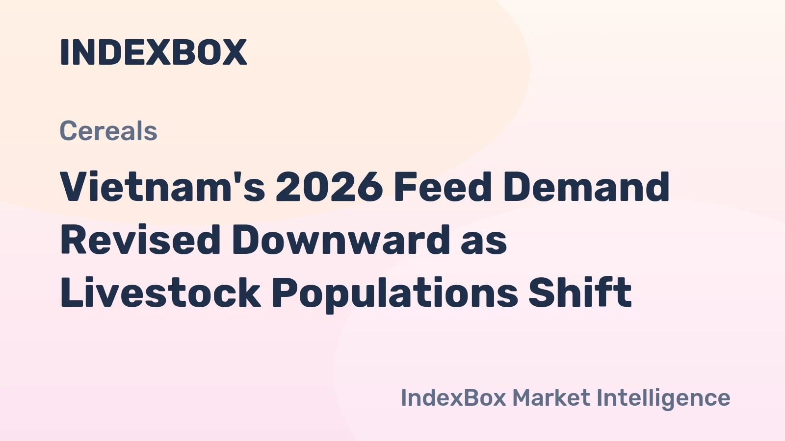 Vietnam's 2026 Feed Demand Revised Downward as Livestock Populations Shift
