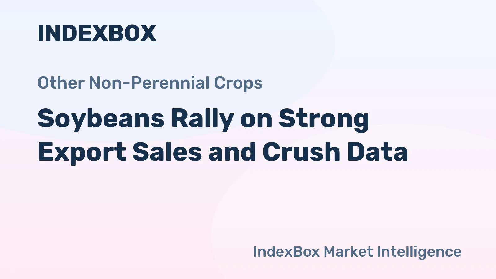 Soybeans Rally on Strong Export Sales and Crush Data