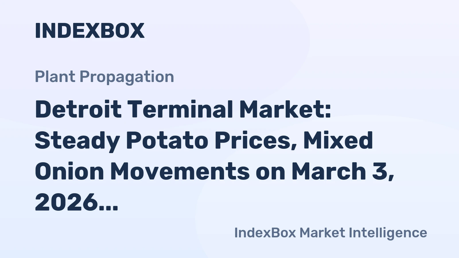 Detroit Terminal Market: Steady Potato Prices, Mixed Onion Movements on March 3, 2026