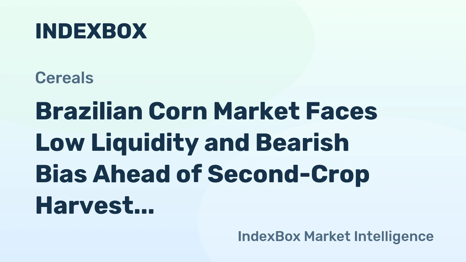 Brazilian Corn Market Faces Low Liquidity and Bearish Bias Ahead of Second-Crop Harvest