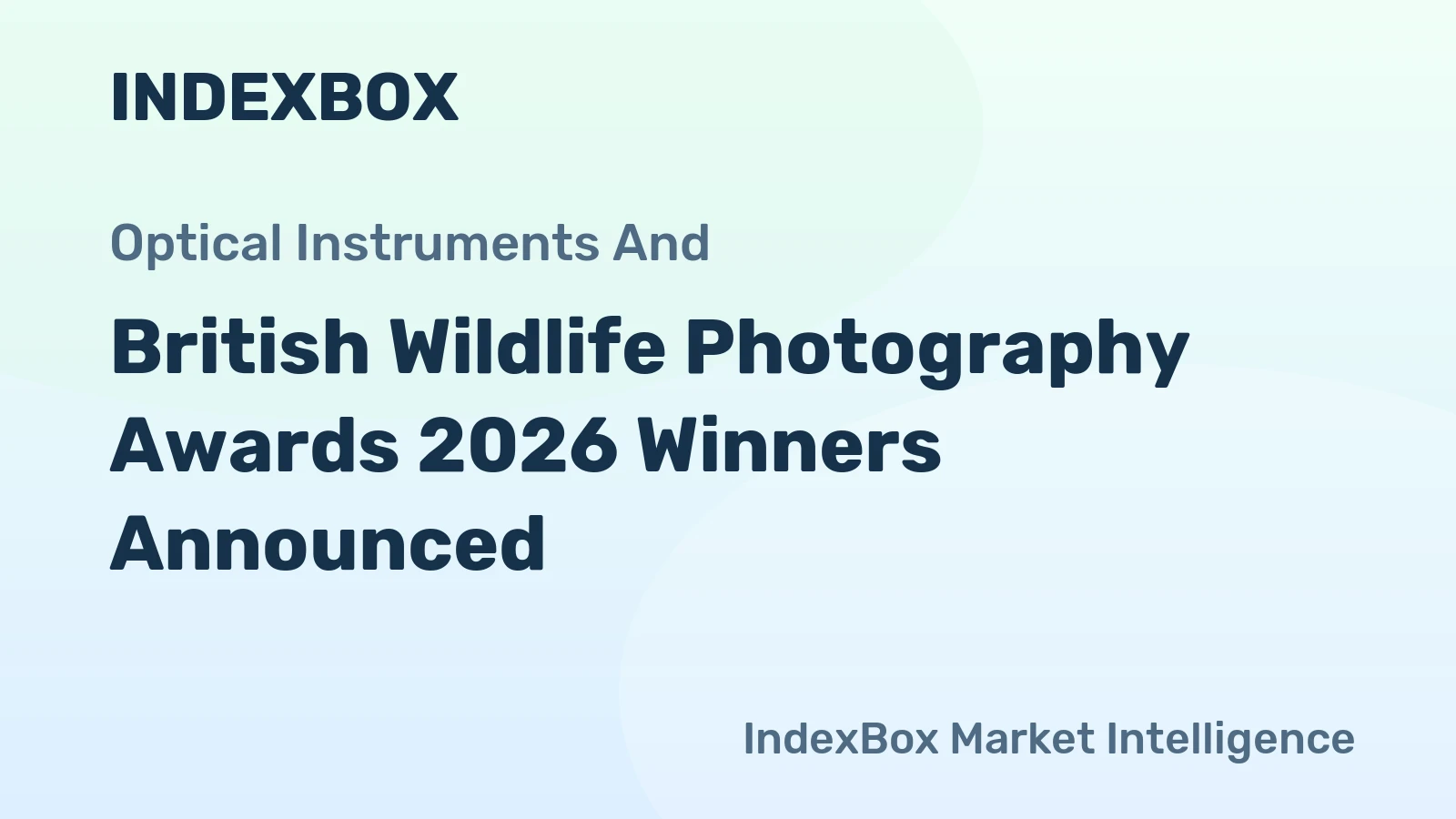 British Wildlife Photography Awards 2026 Winners Announced