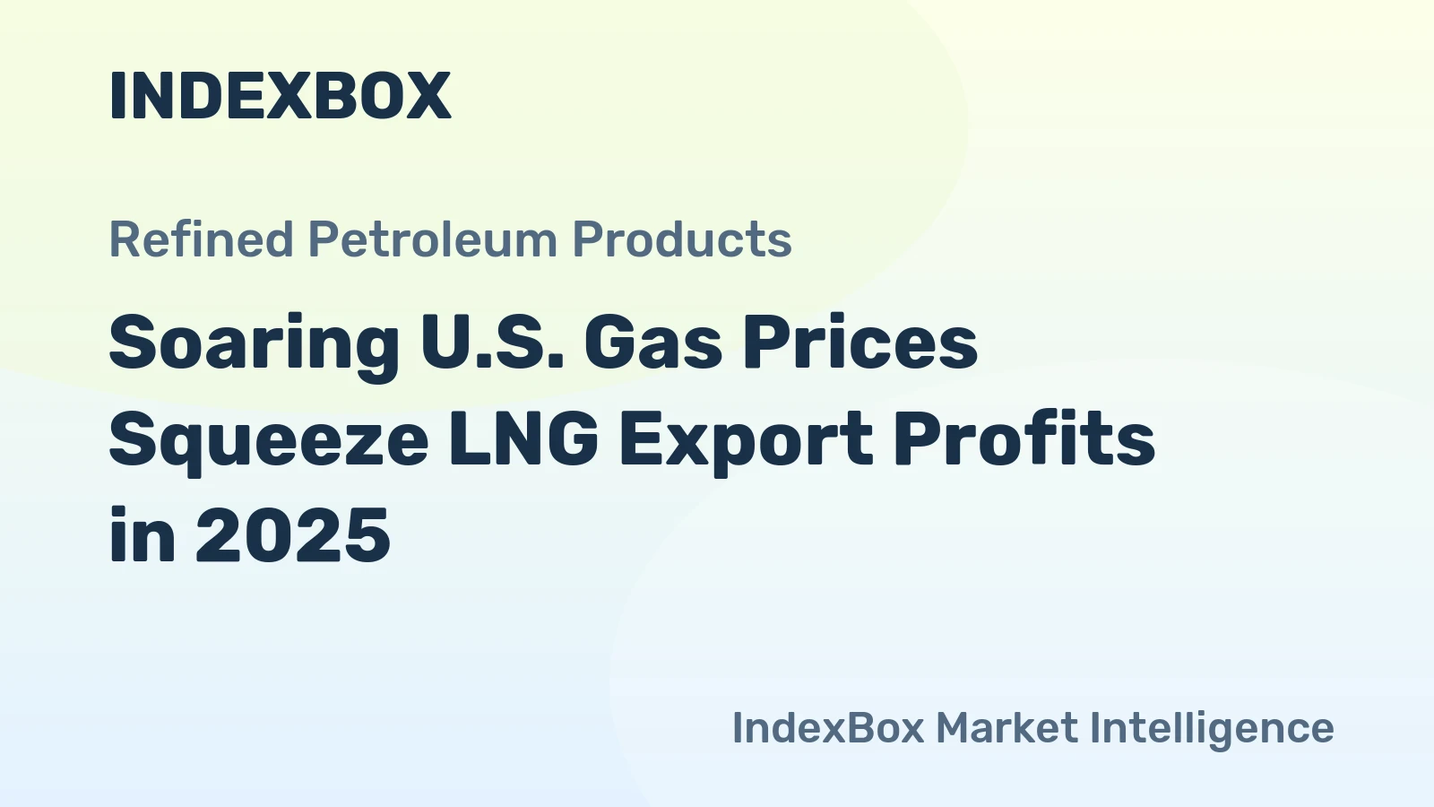 Soaring U.S. Gas Prices Squeeze LNG Export Profits in 2025