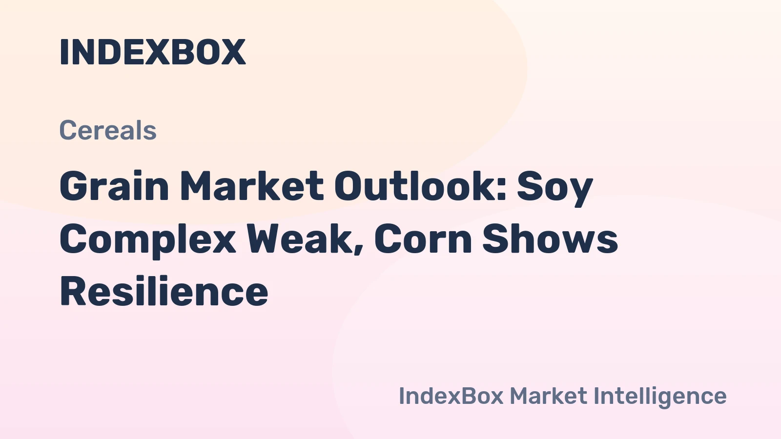 Grain Market Outlook: Soy Complex Weak, Corn Shows Resilience