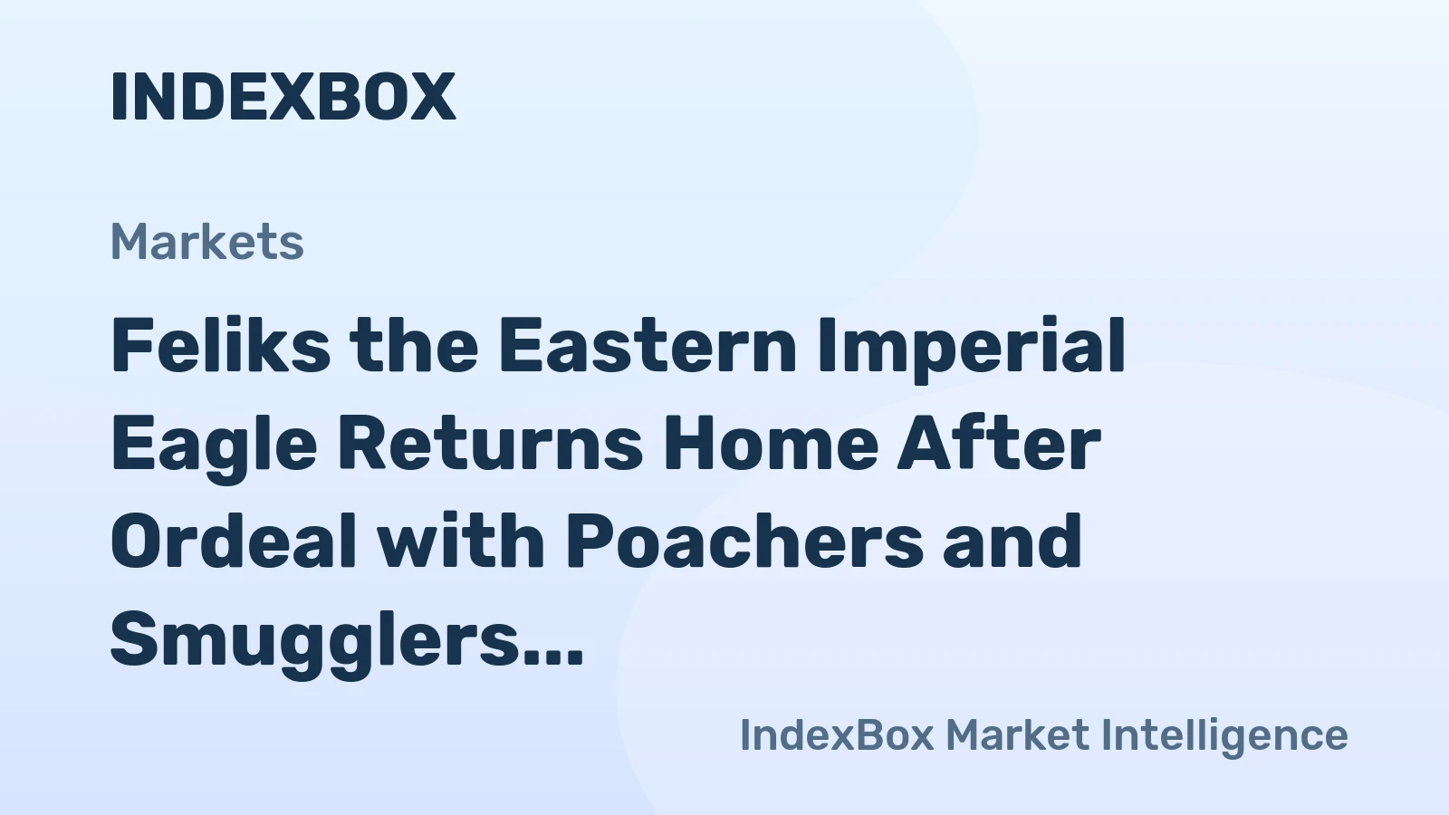 Feliks the Eastern Imperial Eagle Returns Home After Ordeal with Poachers and Smugglers