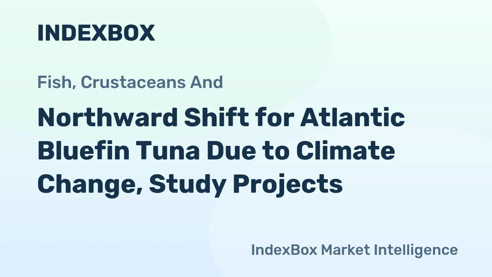 Northward Shift for Atlantic Bluefin Tuna Due to Climate Change, Study Projects
