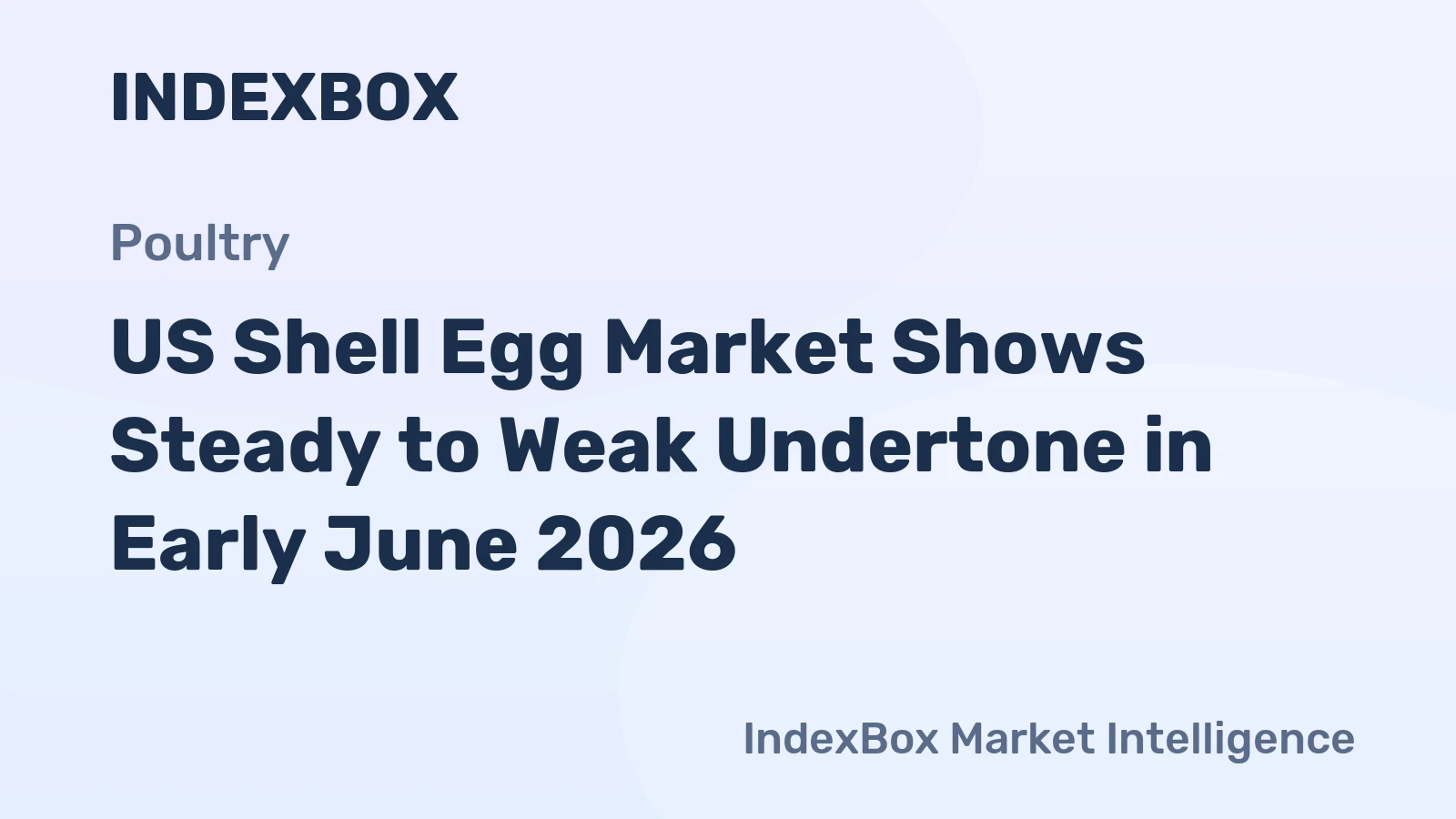 US Shell Egg Market Shows Steady to Weak Undertone in Early June 2026