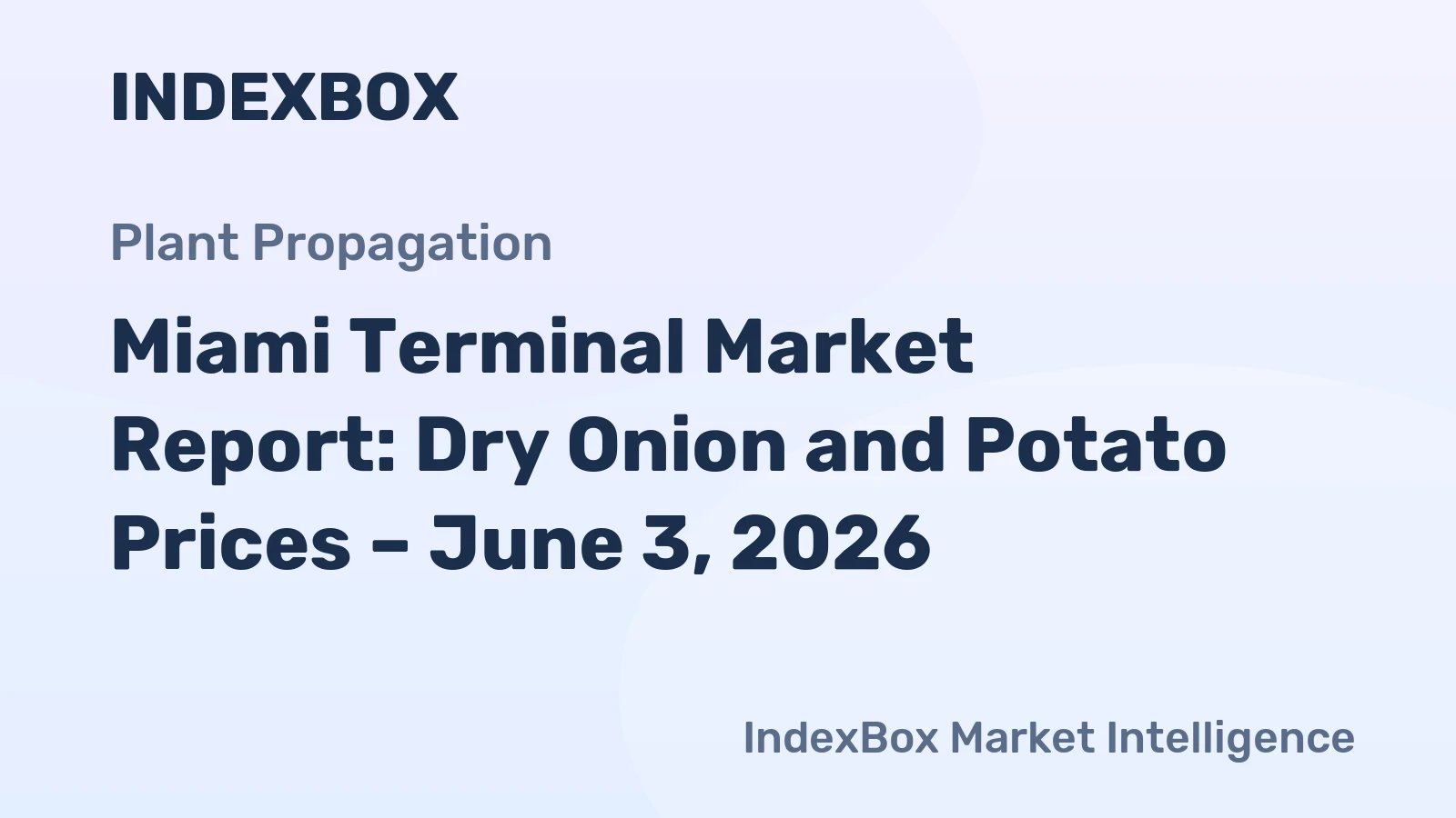 Miami Terminal Market Report: Dry Onion and Potato Prices – June 3, 2026