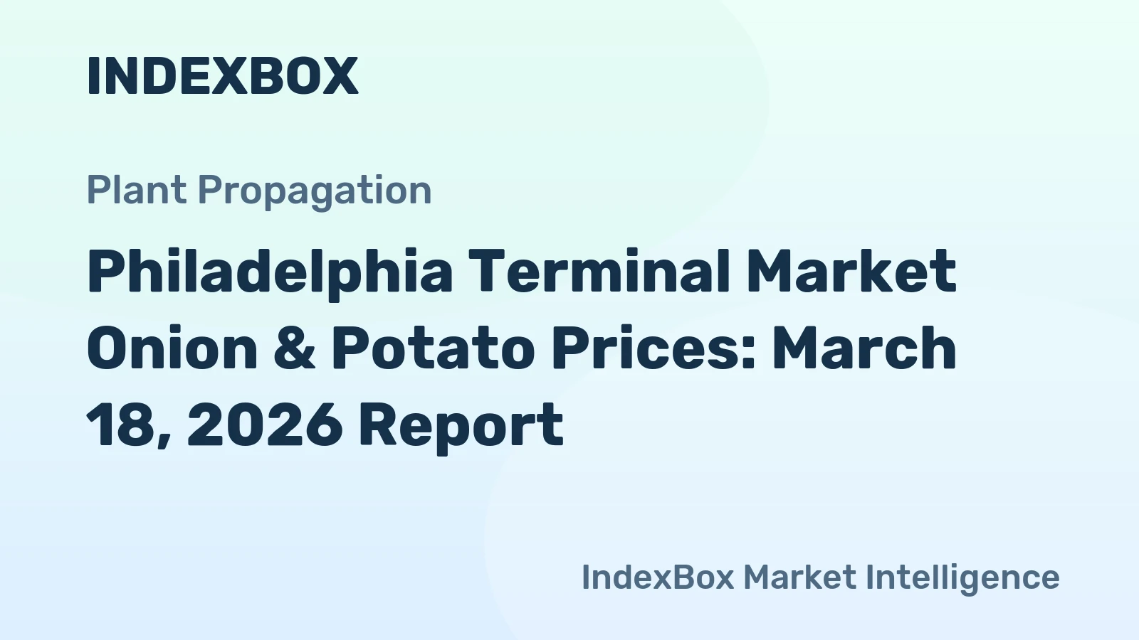 Philadelphia Terminal Market Onion & Potato Prices: March 18, 2026 Report