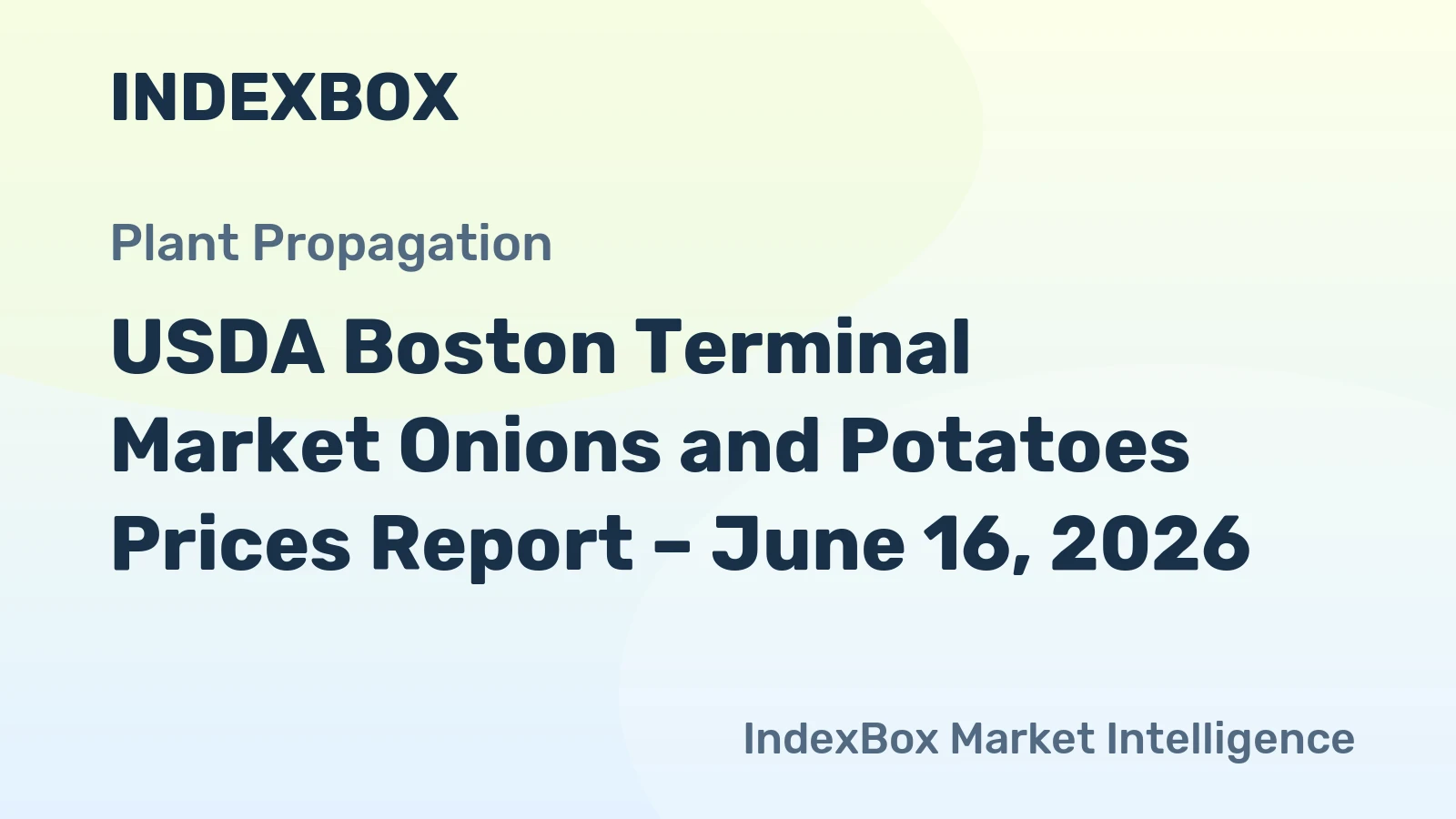 USDA Boston Terminal Market Onions and Potatoes Prices Report – June 16, 2026