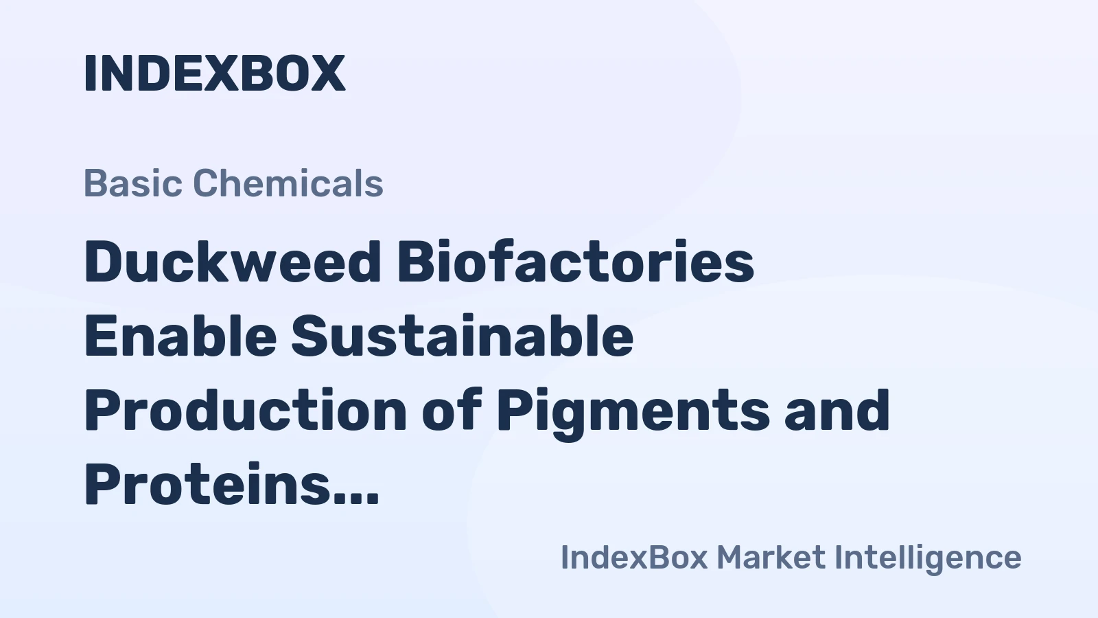 Duckweed Biofactories Enable Sustainable Production of Pigments and Proteins