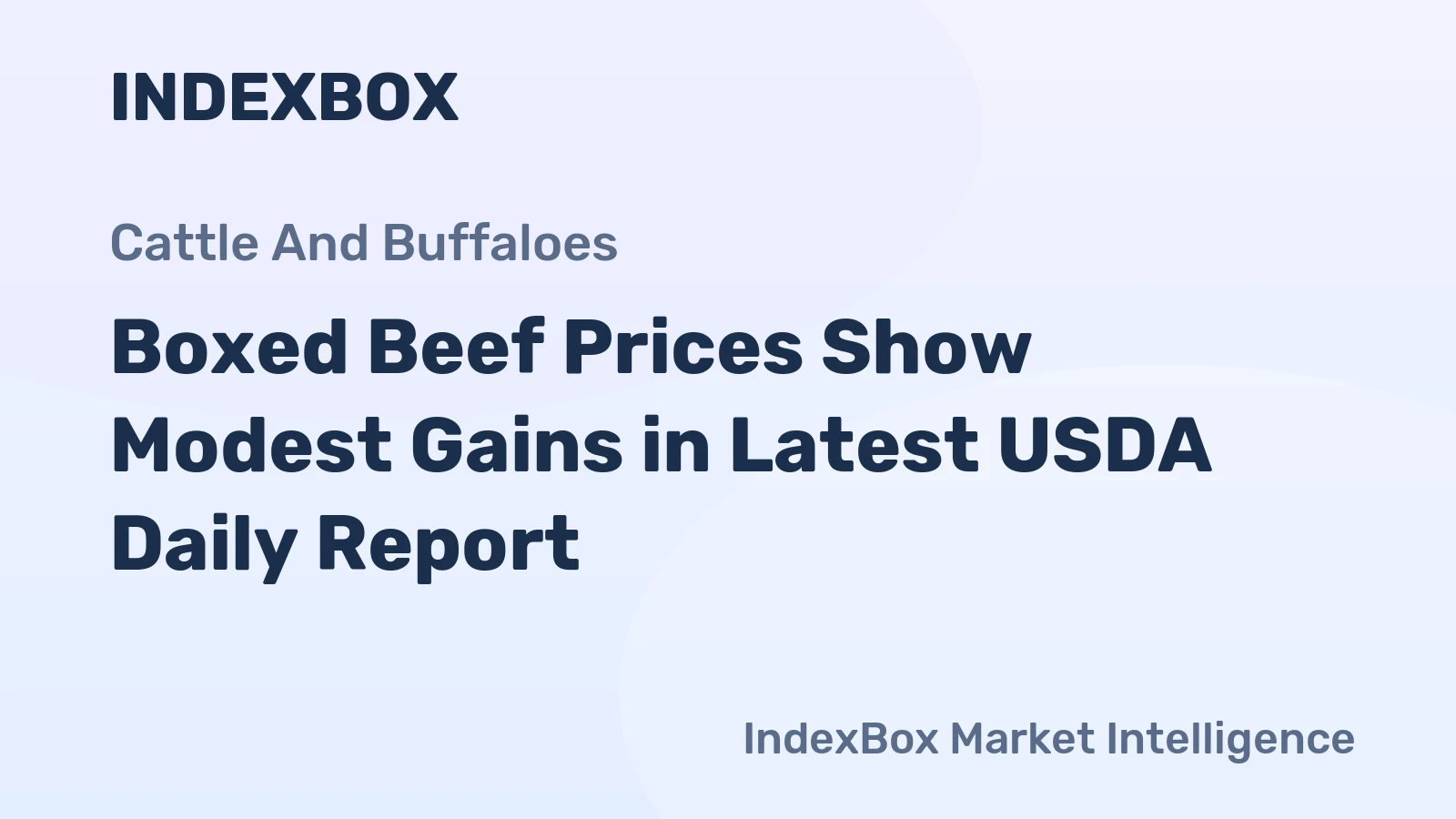 Boxed Beef Prices Show Modest Gains in Latest USDA Daily Report