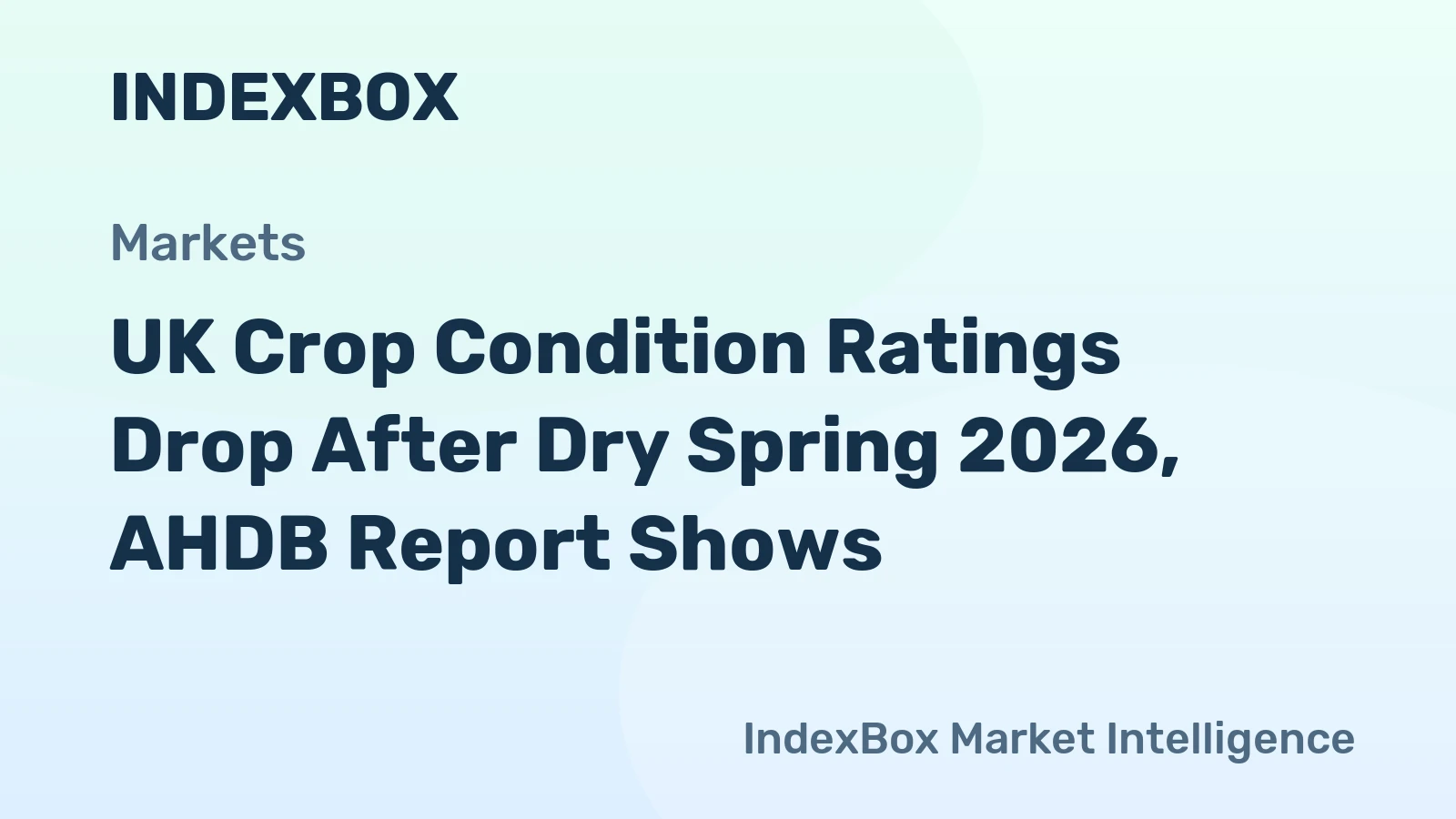 UK Crop Condition Ratings Drop After Dry Spring 2026, AHDB Report Shows