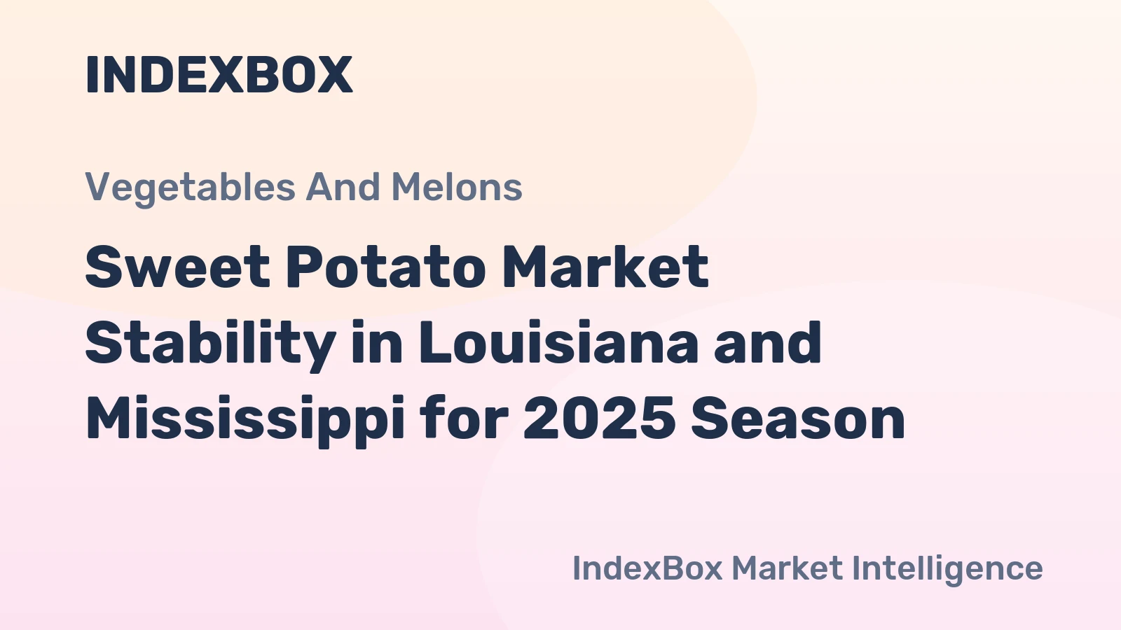 Sweet Potato Market Stability in Louisiana and Mississippi for 2025 Season