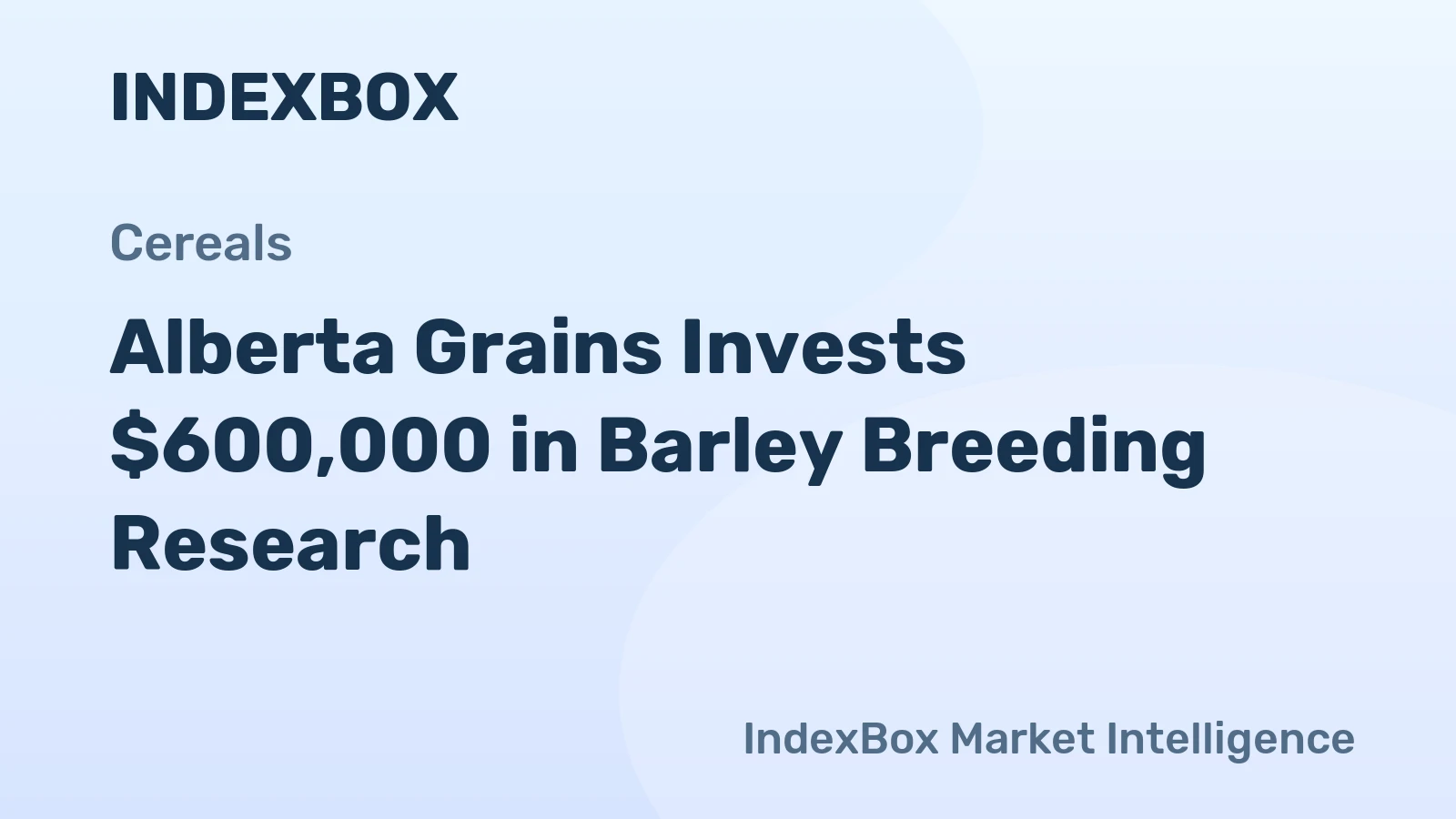 Alberta Grains Invests $600,000 in Barley Breeding Research