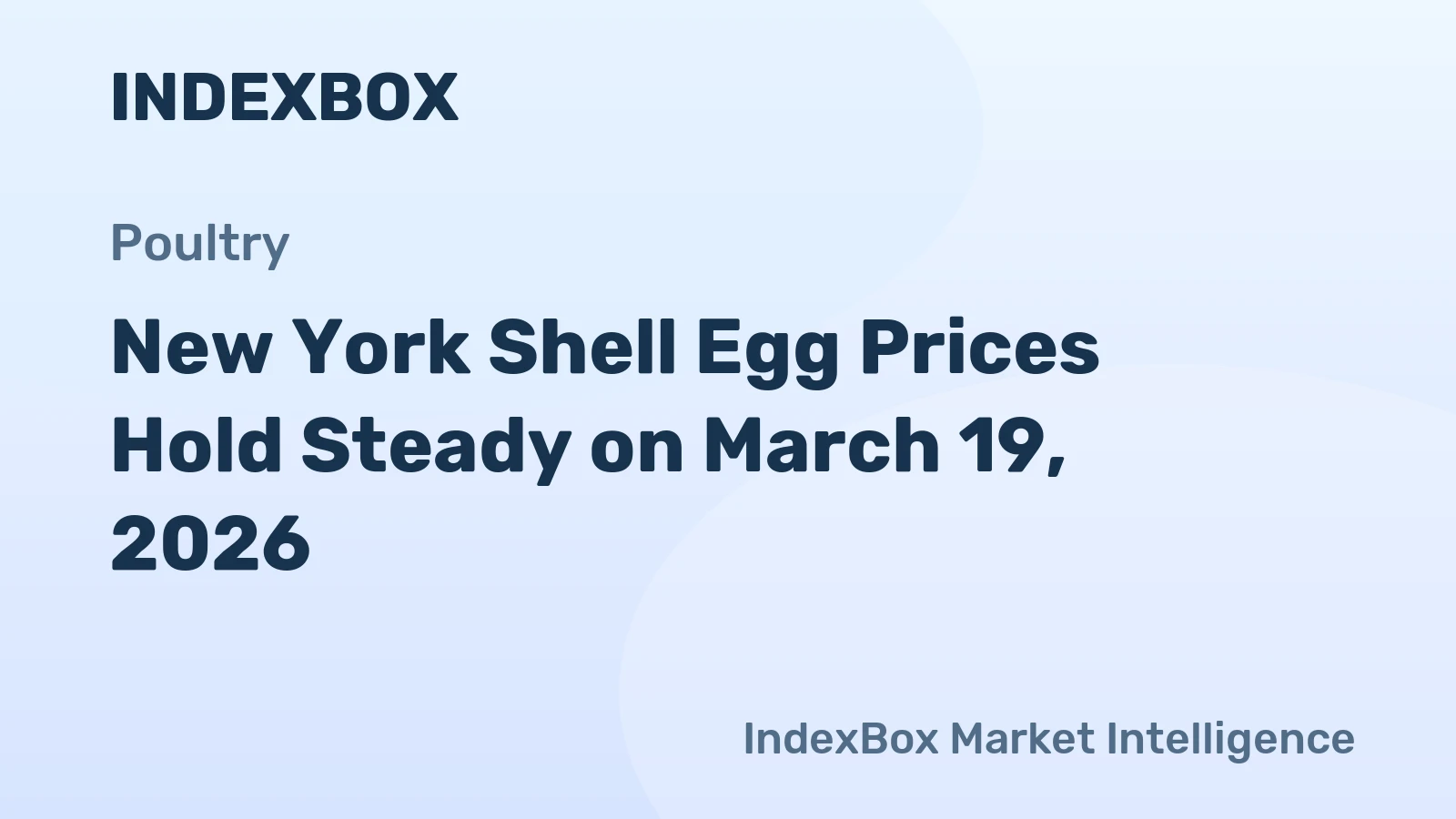 New York Shell Egg Prices Hold Steady on March 19, 2026