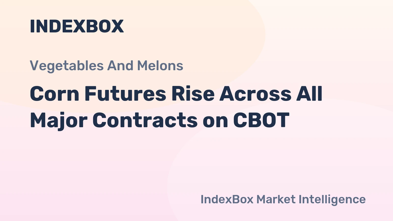 Corn Futures Rise Across All Major Contracts on CBOT