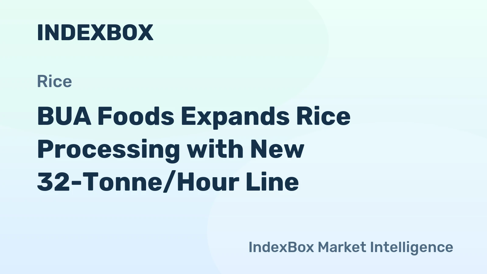 BUA Foods Expands Rice Processing with New 32-Tonne/Hour Line