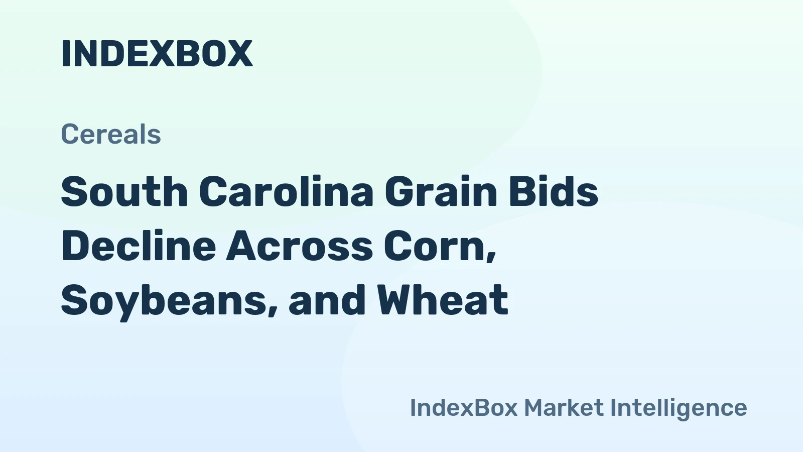 South Carolina Grain Bids Decline Across Corn, Soybeans, and Wheat