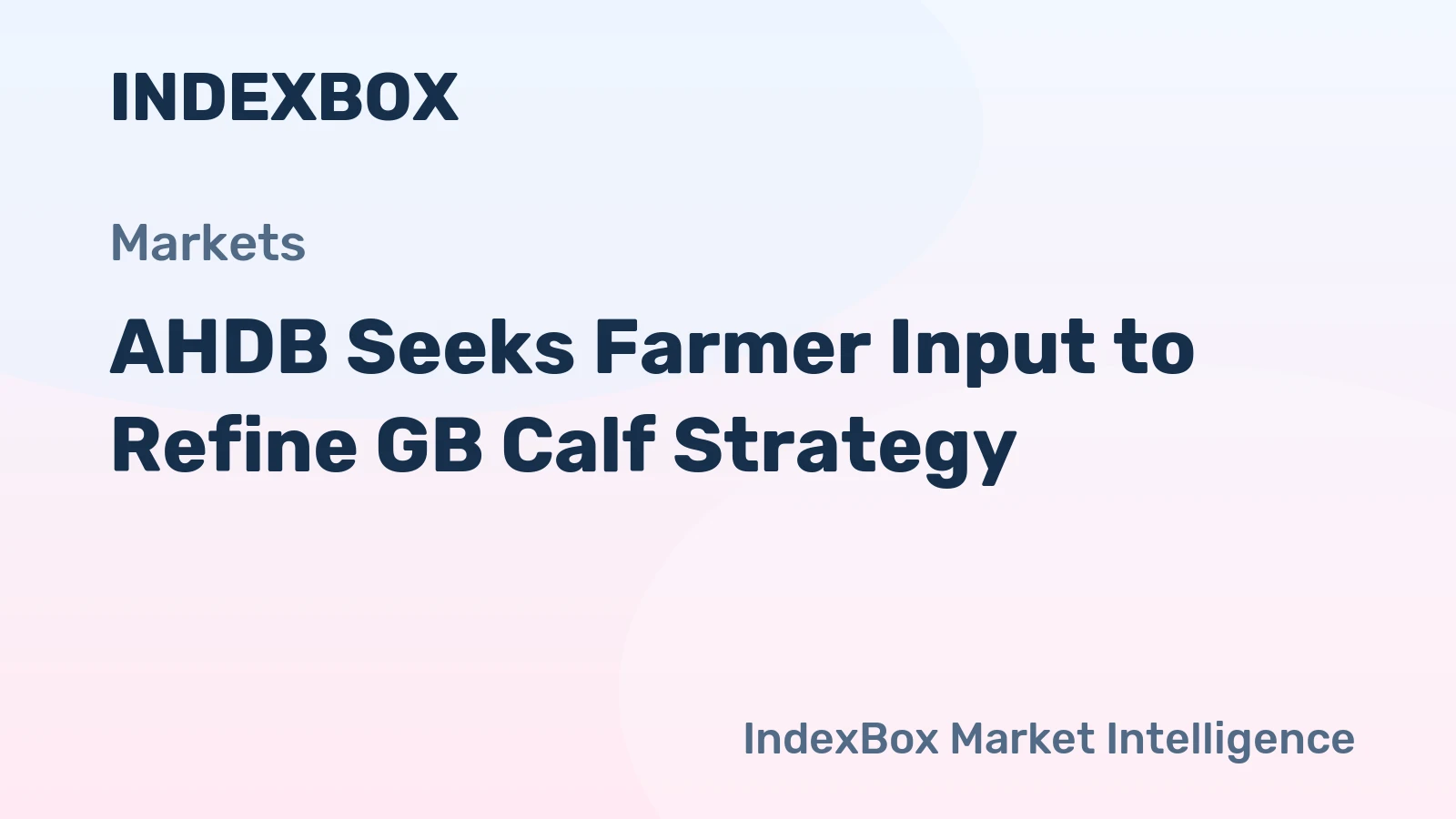 AHDB Seeks Farmer Input to Refine GB Calf Strategy