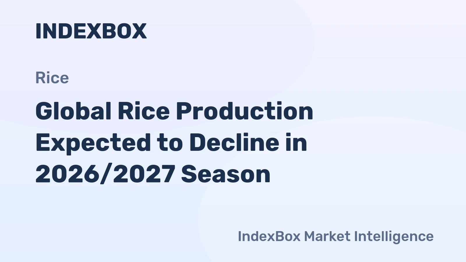 Global Rice Production Expected to Decline in 2026/2027 Season