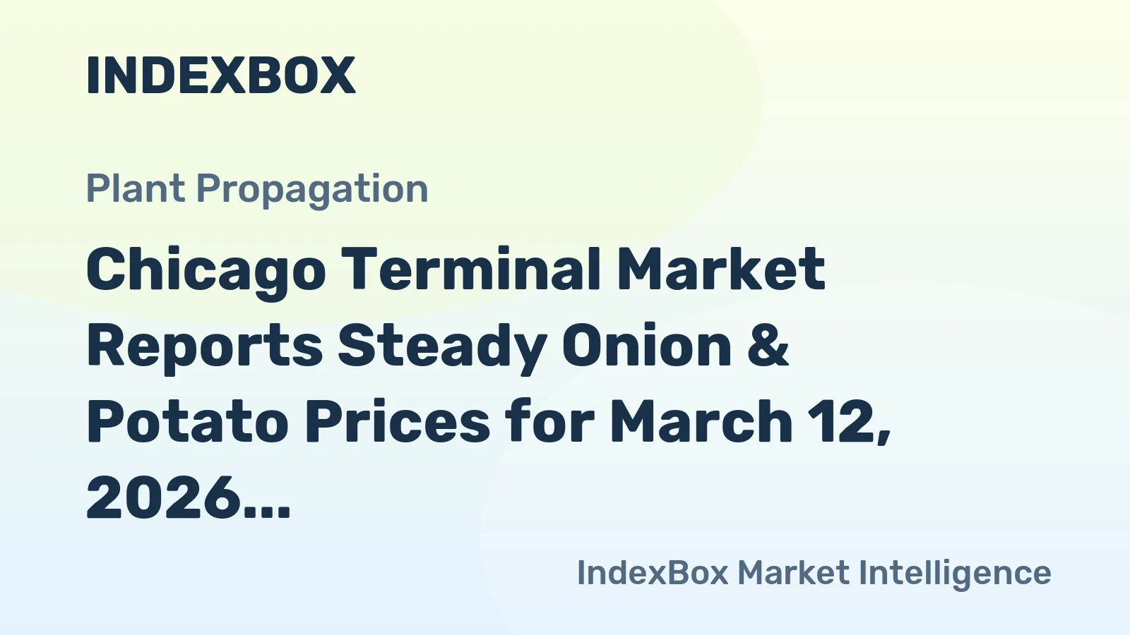 Chicago Terminal Market Reports Steady Onion & Potato Prices for March 12, 2026